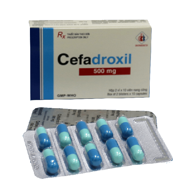 Cefadroxil là thuốc gì? Công dụng & liều dùng Hello Bacsi