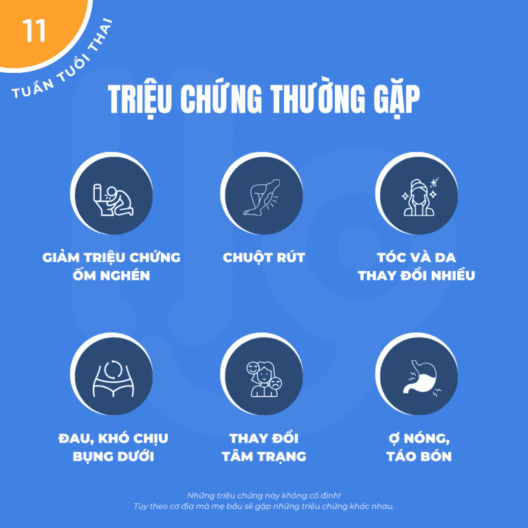 Thai nhi 11 tuần tuổi phát triển thế nào, mẹ bầu thay đổi ra sao?
