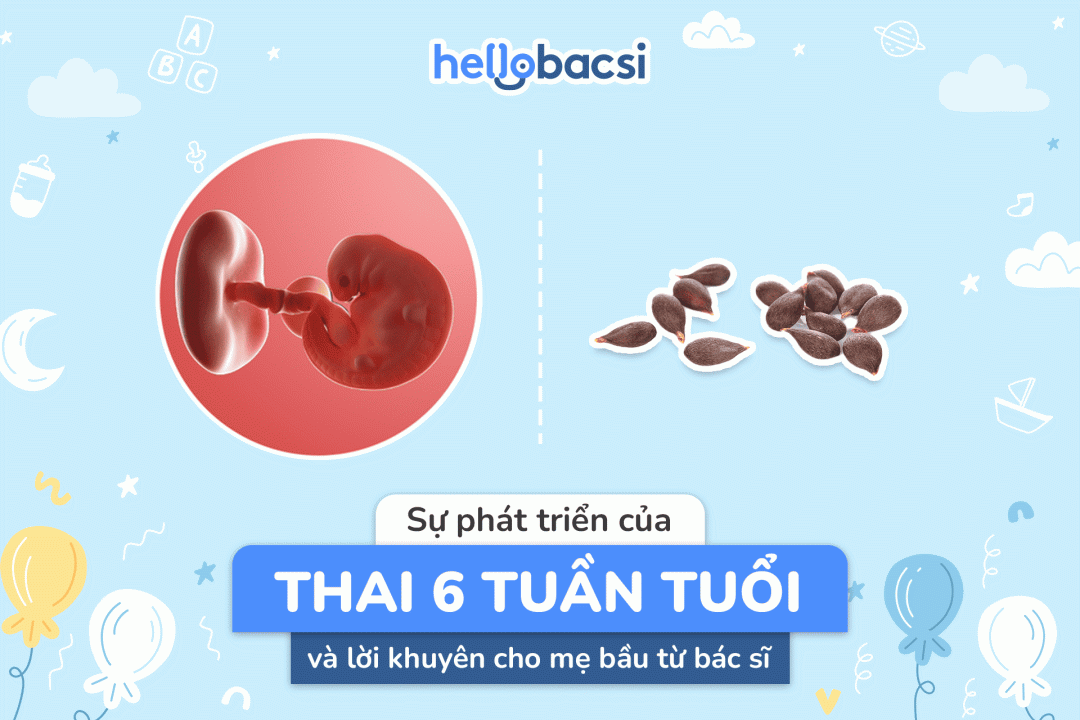 Thai 6 tuần kích thước bao nhiêu, có tim thai chưa?