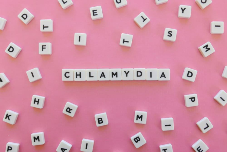 Bệnh Chlamydia là gì? Nguyên nhân, triệu chứng và cách điều trị
