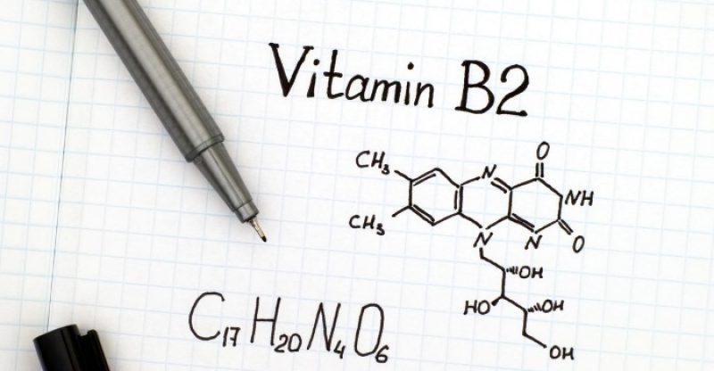 Vitamin B2 - Công dụng & Liều dùng phù hợp cho cơ thể