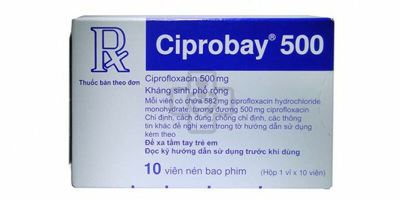 Ciprobay® • Hello Bacsi