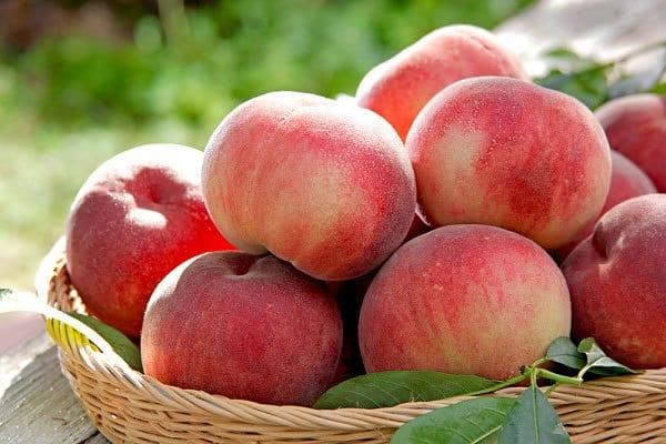Bật mí các lợi ích đáng kinh ngạc của quả đào đối với sức khỏe