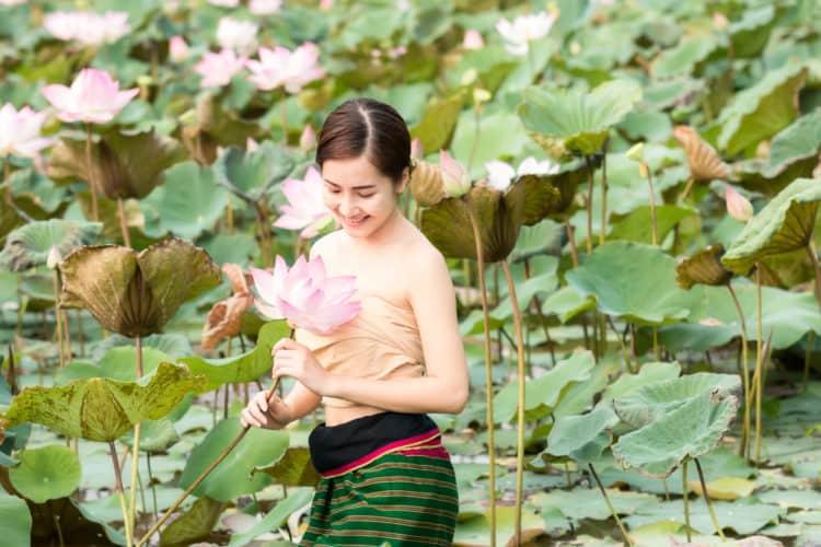 Cây sen: Bài thuốc quý giúp bạn luôn khỏe đẹp • Hello Bacsi