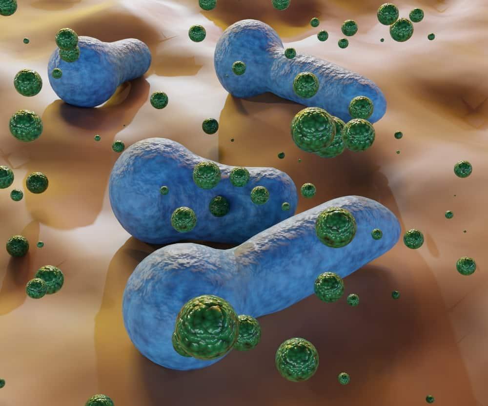 Hello Bacsi | Nội dung về sức khỏe, thuốc, bệnh, thai kỳ và nuôi dạy ...