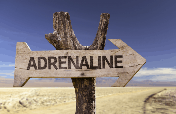 Adrenaline rush: Cơn "sốt" khiến bạn muốn bỏ chạy! • Hello Bacsi