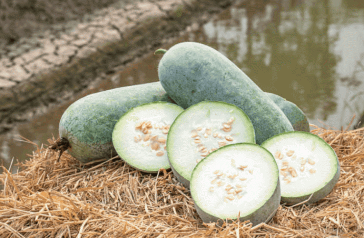 Tác dụng của bí đao với sức khỏe và cách nấu trà bí đao • Hello Bacsi