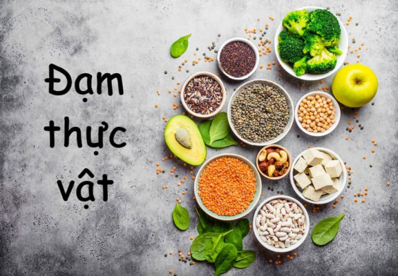 đạm thực vật - nguồn dinh dưỡng lý tưởng cho người ăn chay