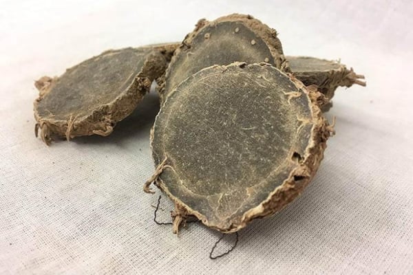 Nga truật • Hello Bacsi