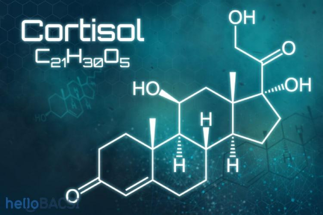 10 cách giúp giảm mức hormone cortisol trong cơ thể • Hello Bacsi