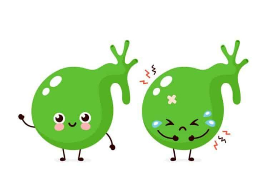 Túi mật và những bệnh lý bạn cần biết • Hello Bacsi