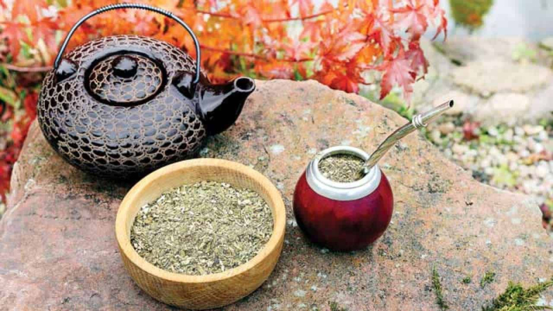 Trà yerba mate: Thức uống thú vị đến từ Argentina xa xôi • Hello Bacsi
