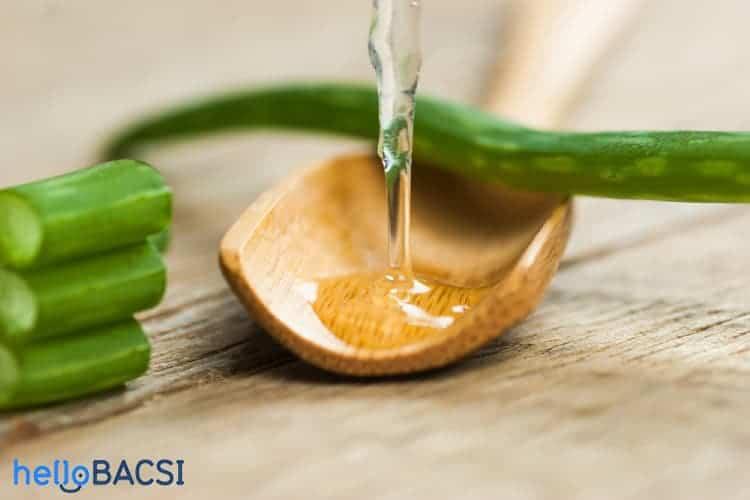 Cách làm gel nha đam tại nhà với bí quyết đơn giản không ngờ! • Hello Bacsi