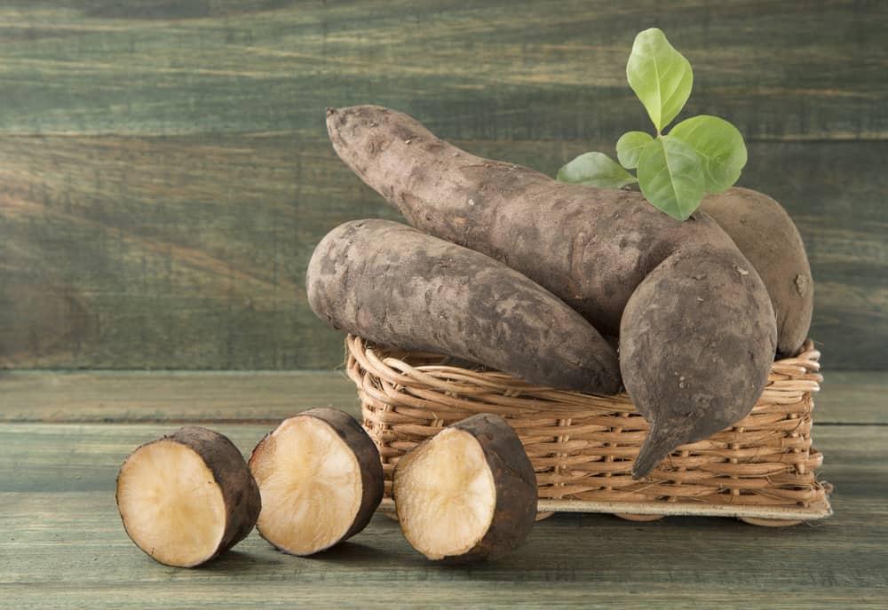 Củ sâm đất có tác dụng gì? Những ai không nên dùng?