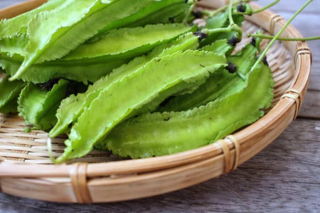 4 cách chế biến đậu rồng bảo toàn dinh dưỡng • Hello Bacsi