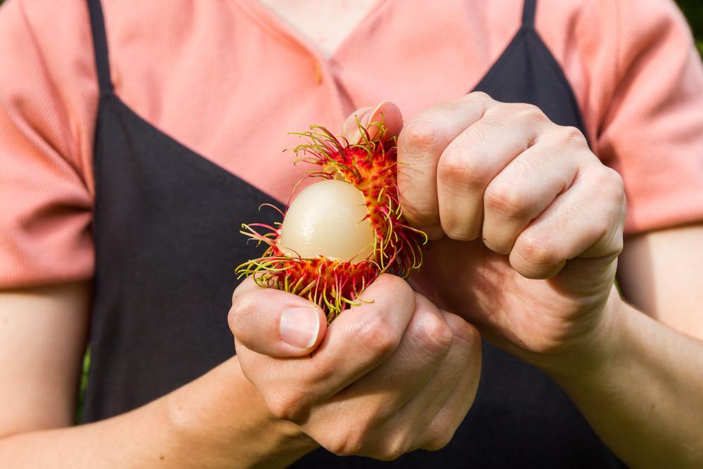 Tác hại của chôm chôm: Ai không nên ăn loại quả này? • Hello Bacsi