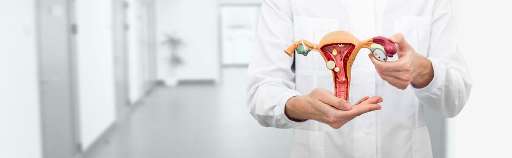 Đốt nang naboth cổ tử cung giá bao nhiêu? • Hello Bacsi