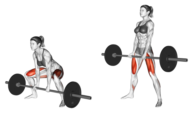 Bài tập sumo deadlift tác động vào nhóm cơ nào? cách tập đúng sumo