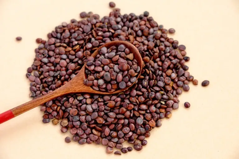 Táo xanh (táo ta): loại trái cây quen thuộc với nhiều công dụng chữa