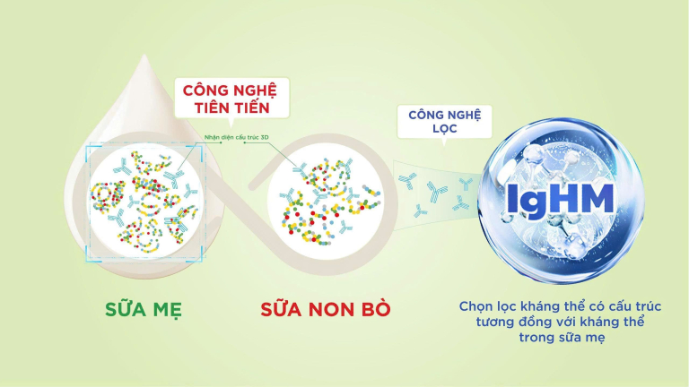 Kháng thể IgHM là gì? Vì sao nên chọn nguồn dinh dưỡng chứa IgHM?